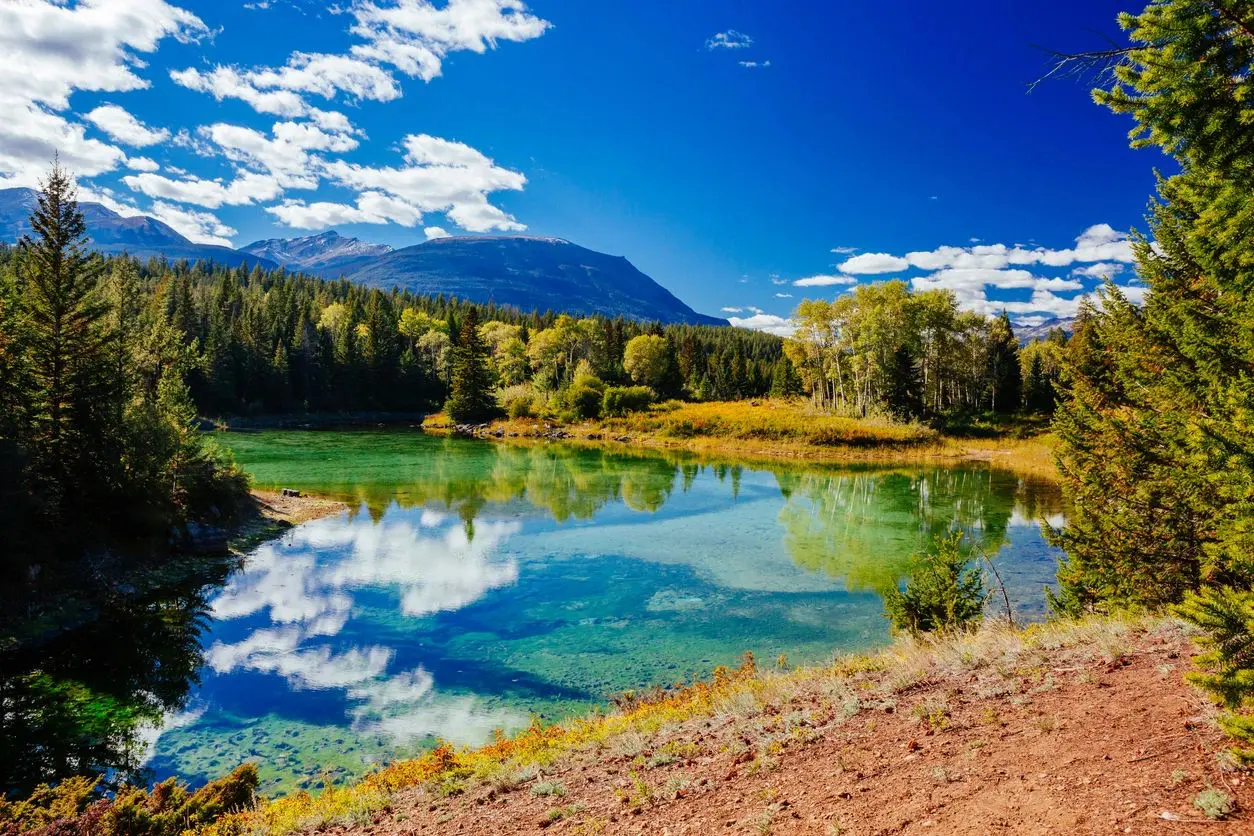 Opiate Detox | Opiate Rehab by Trade Recovery